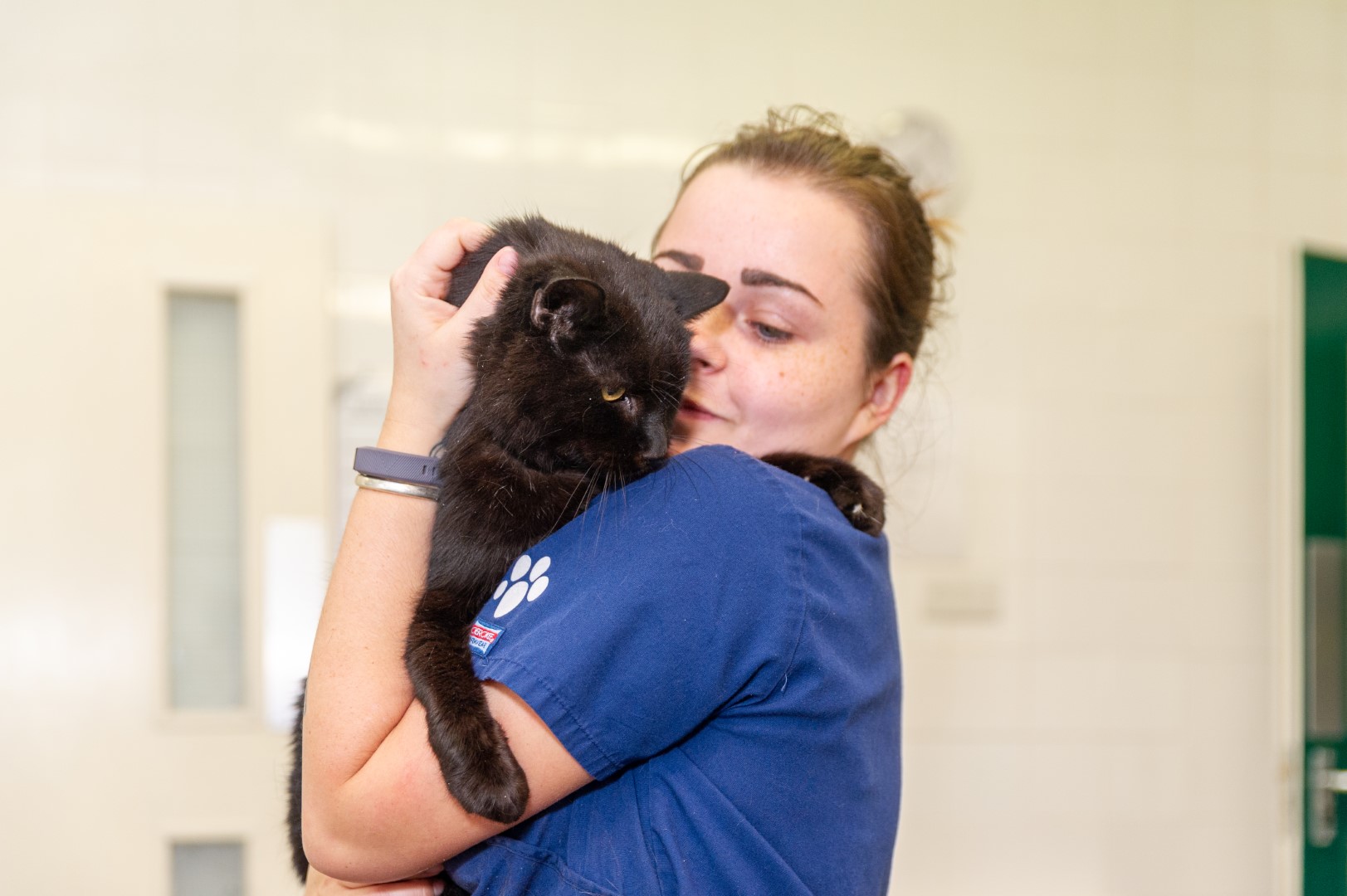 Manor Vets Spring Tails From Manor Vets - Manor Vets