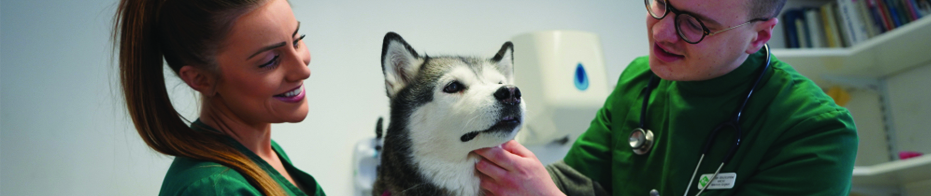 Preventative Healthcare | Manor Vets