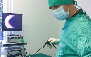 Manor Vets Services - Manor Vets