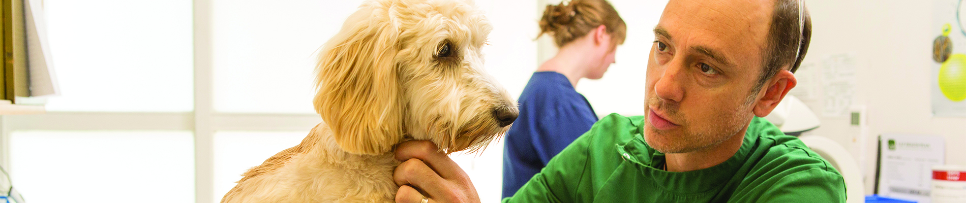 Manor Vets Services - Manor Vets