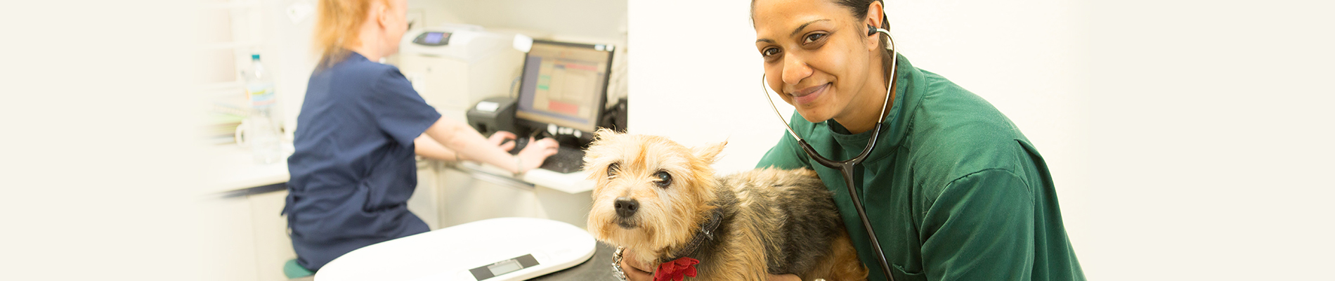 Join Us | Manor Vets