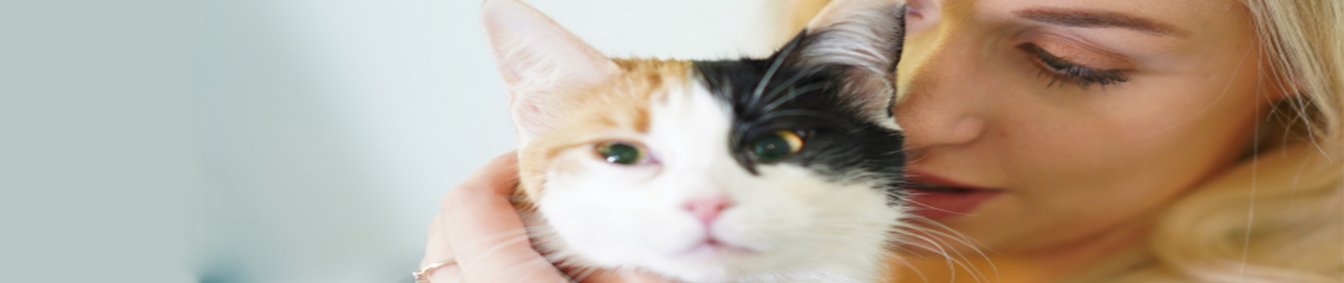 Manor Vets What our clients say - Manor Vets