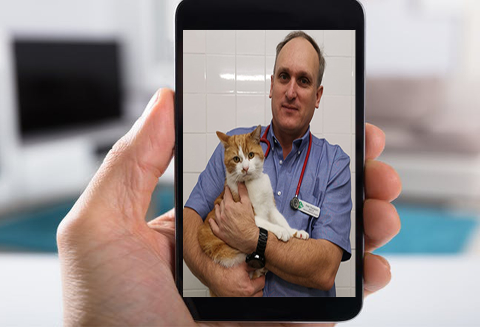 Video Consultations | Manor Vets
