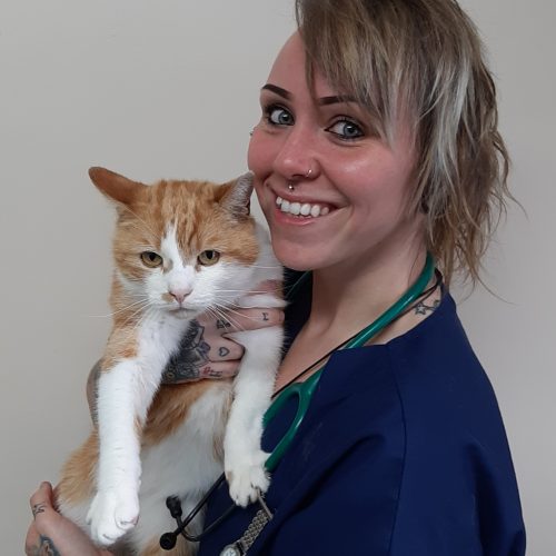 Manor Vets Meet our team - Manor Vets