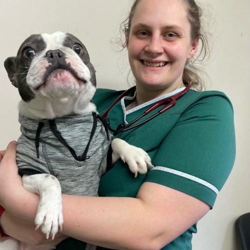 Manor Vets Meet our team - Manor Vets