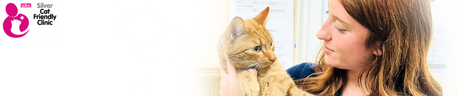 Manor Vets Being a Cat Friendly Clinic - Manor Vets